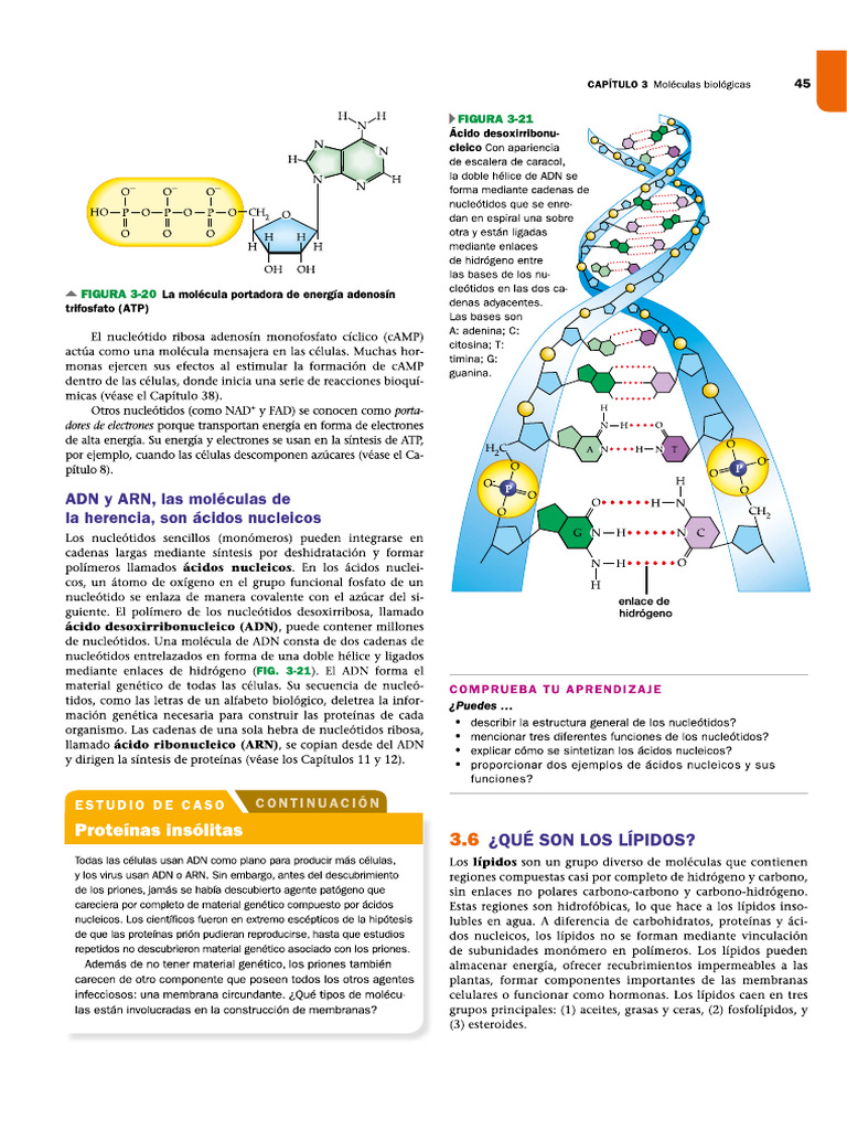 recurso_tema4_Audesirk | PDF