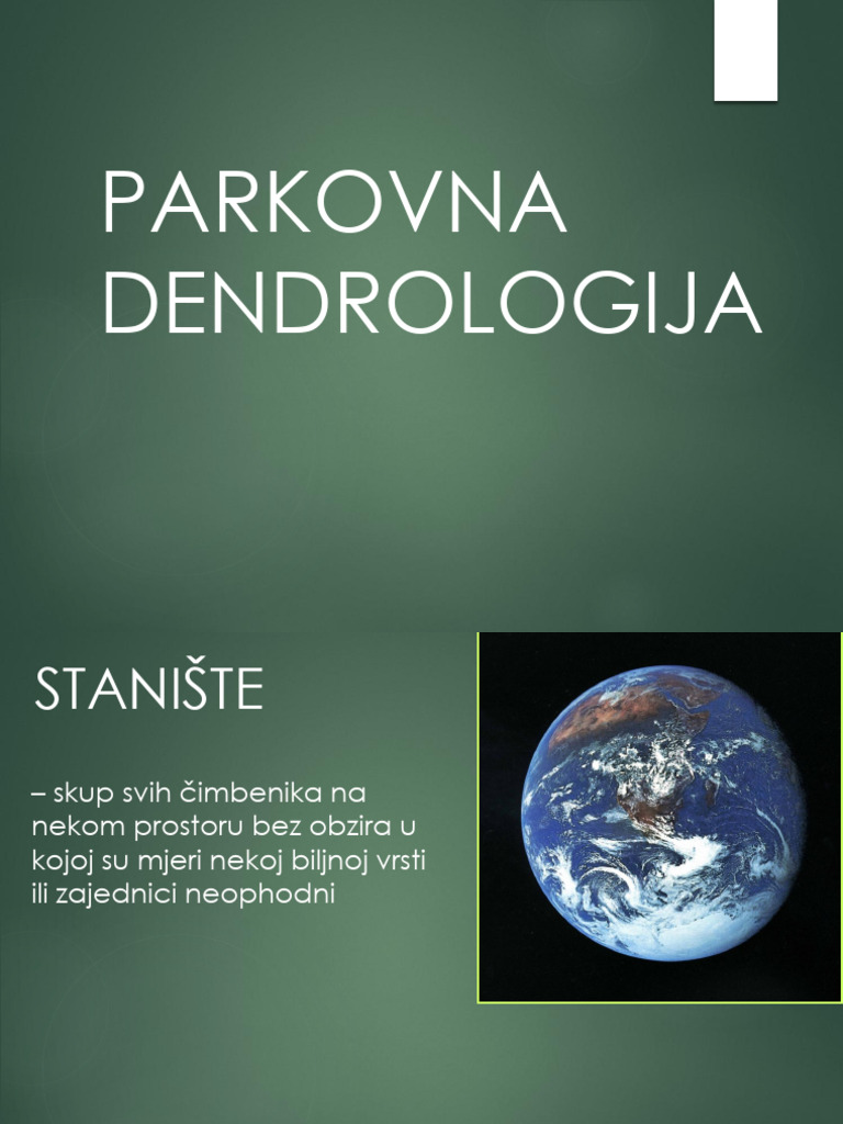 PD 3 Staniste | PDF