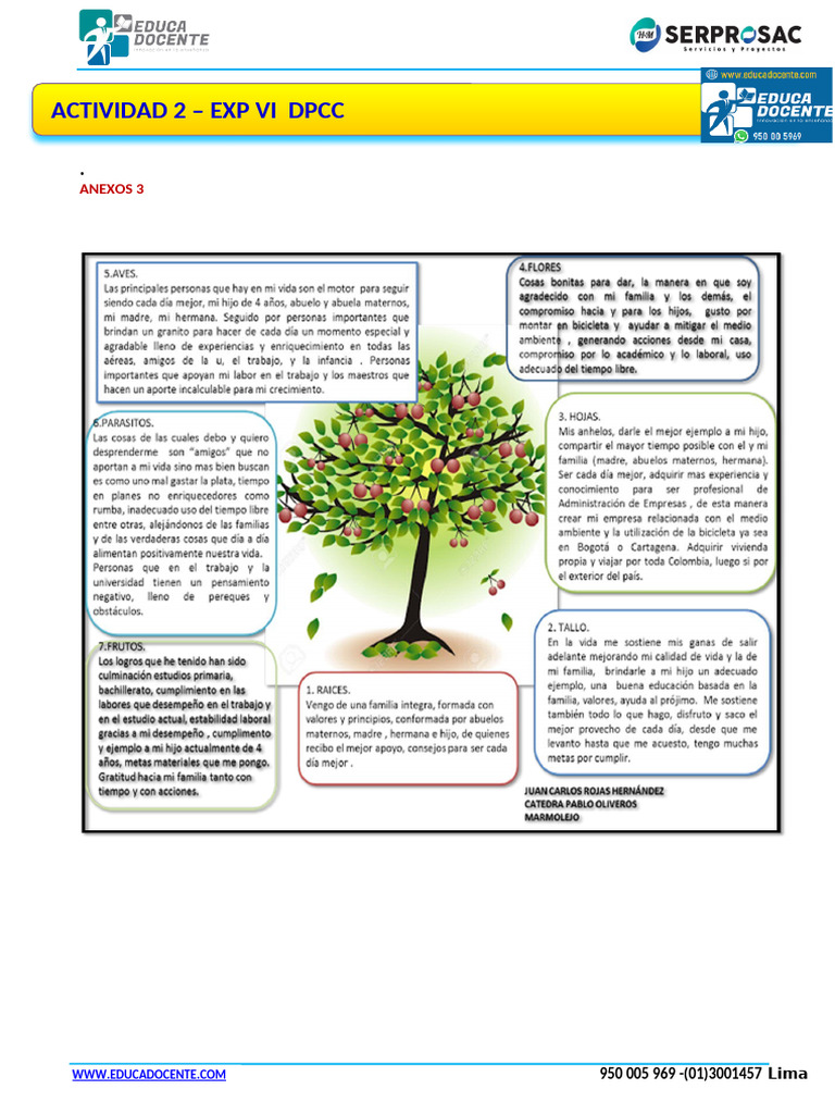 Anexo 3 Act2 VIexp Dpcc VII Ciclo | PDF