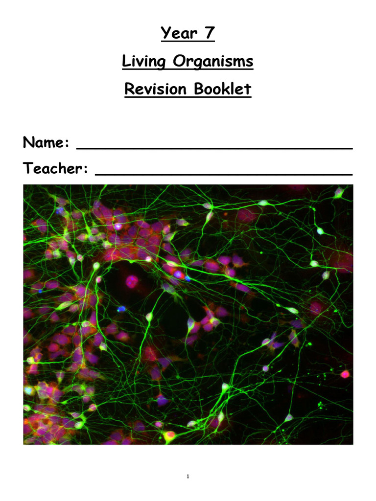 Year 7 Living Organisms Revision Guide | PDF | Cell (Biology) | Ovary
