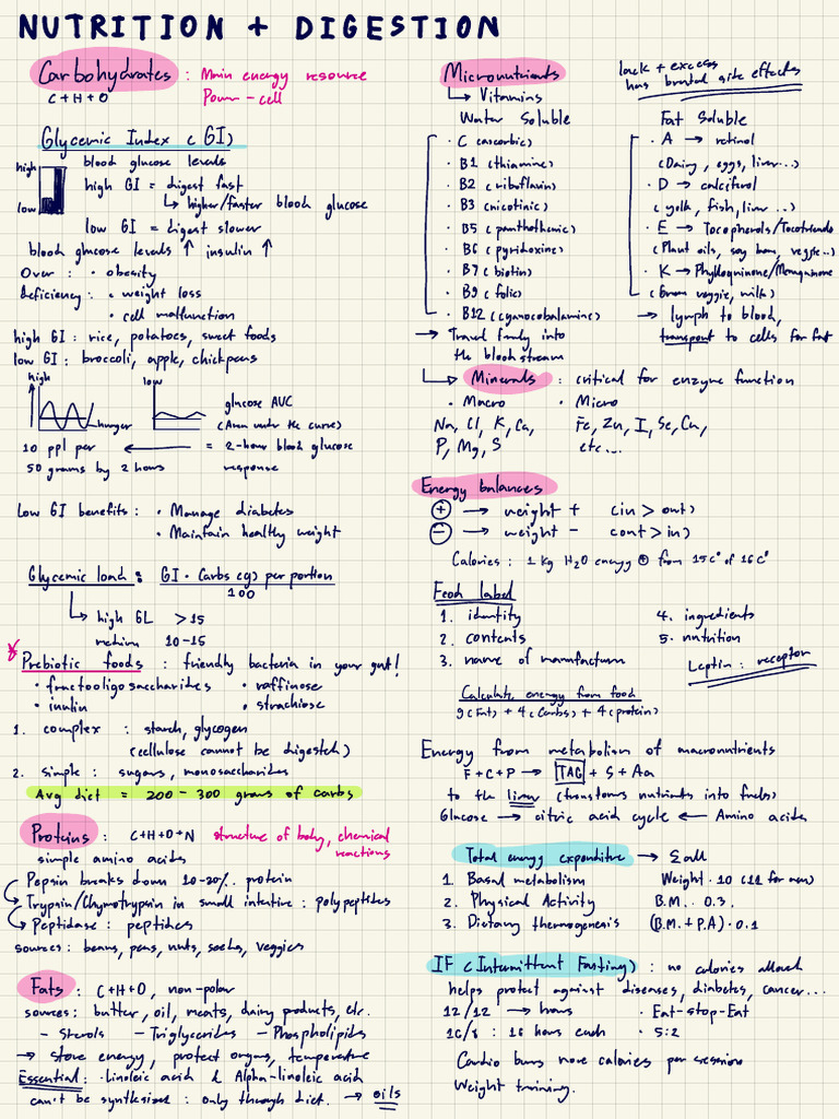 6729644010 Biology Notes | PDF | Small Intestine | Digestion