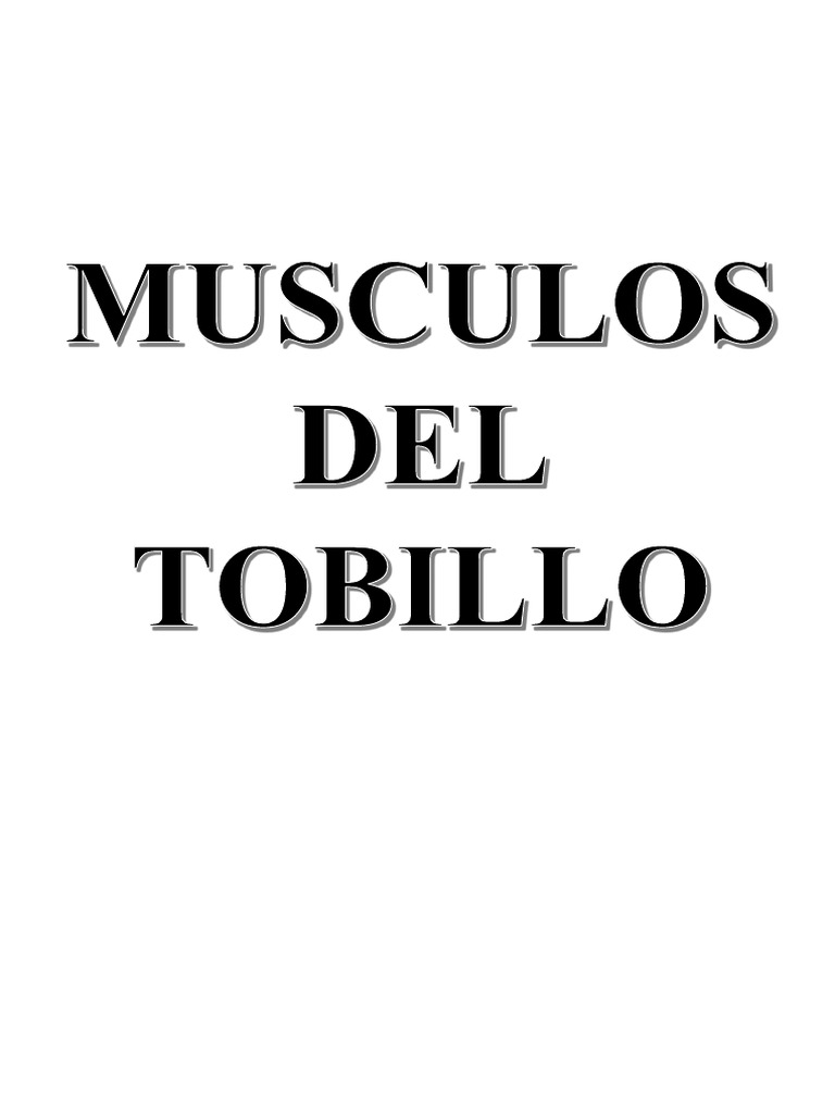 Musculos Del Tobillo y Pie | PDF | Pie | Sistema esquelético