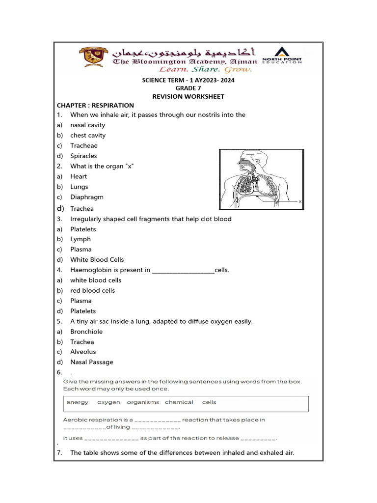 Grade 7 Respiration Worksheet | PDF