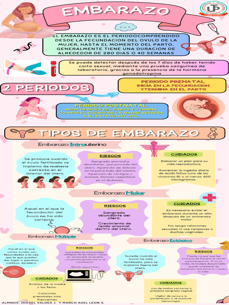 EMBARAZO INFOGRAFIA | PDF