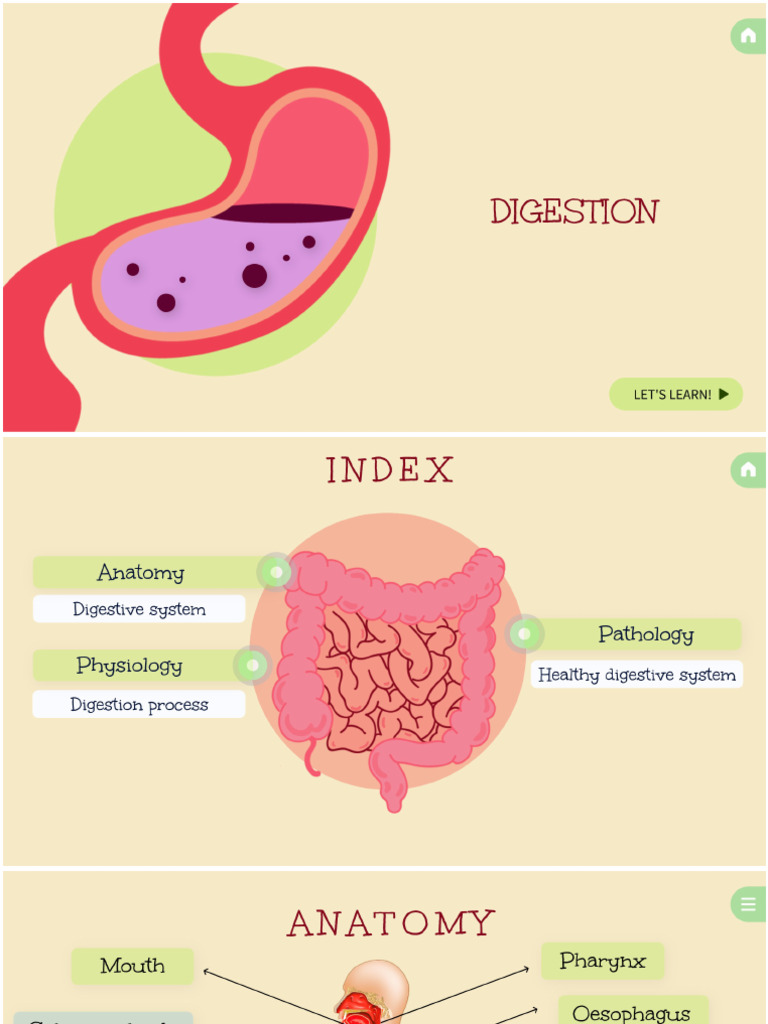 Digestion | PDF