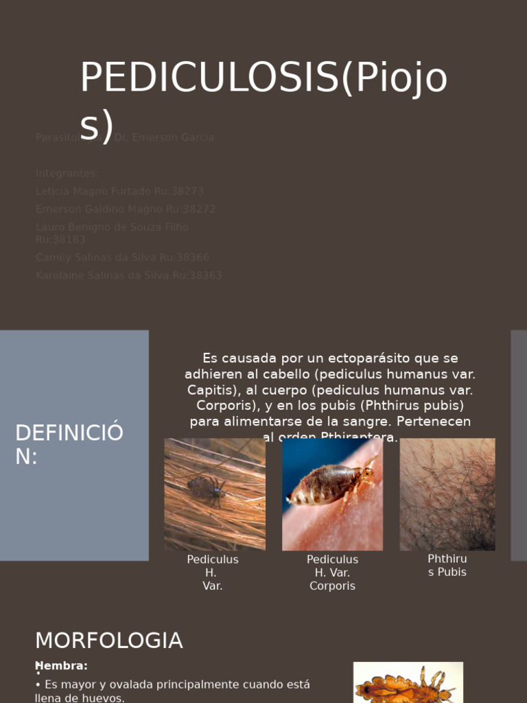 Pediculosis Apresent. | PDF