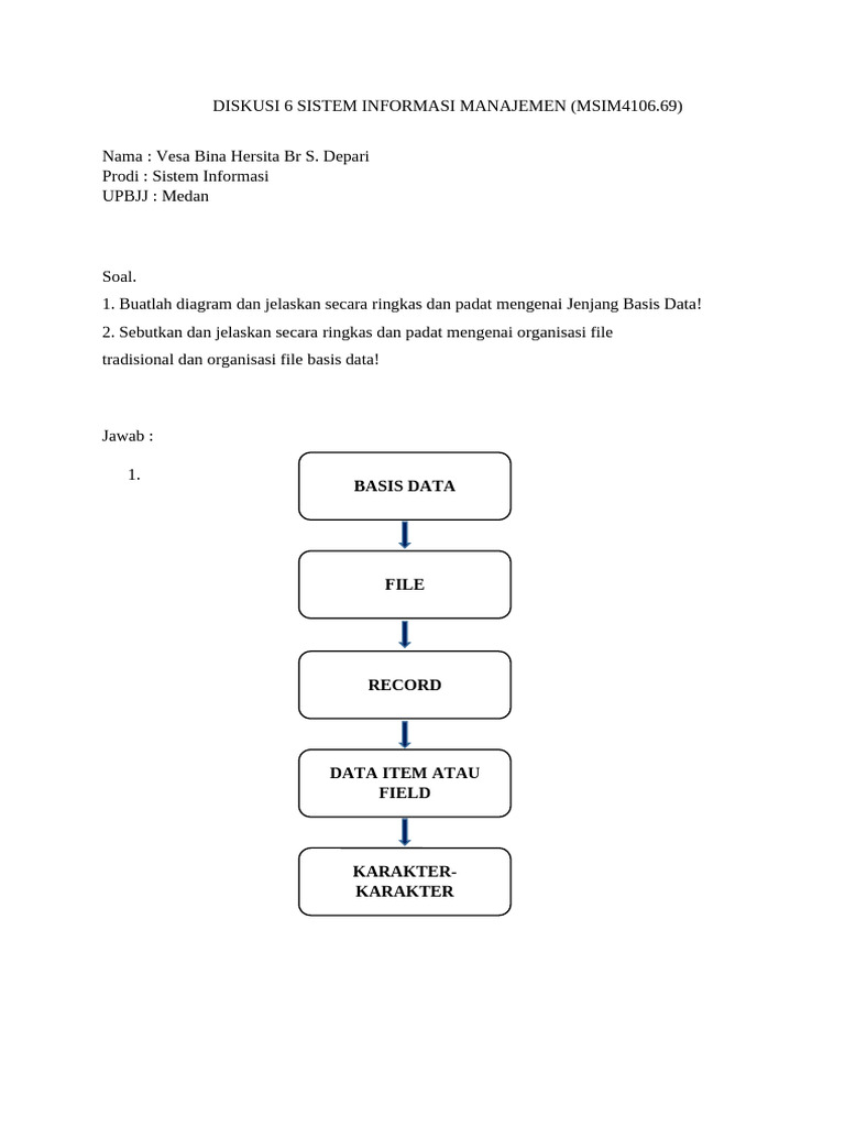 Jenjang Basis Data dan Organisasi File | PDF