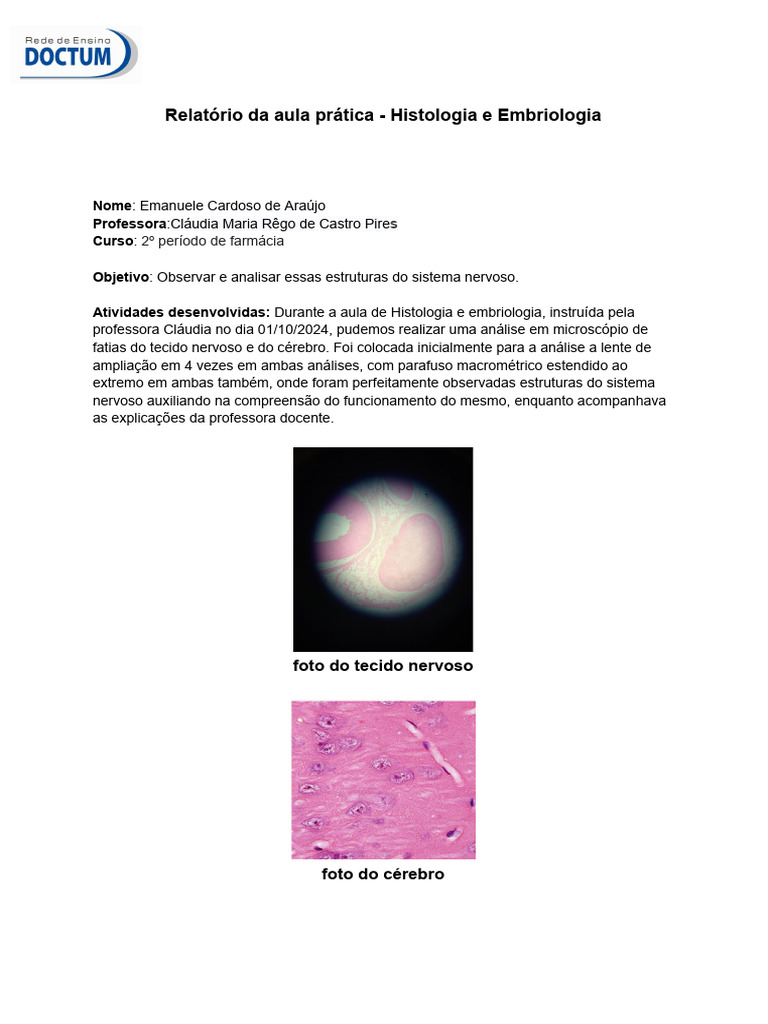 Aula Prática: Análise do Sistema Nervoso | PDF