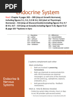 Grade_12_Endocrine_System_Notes | PDF | Endocrine System | Pancreas