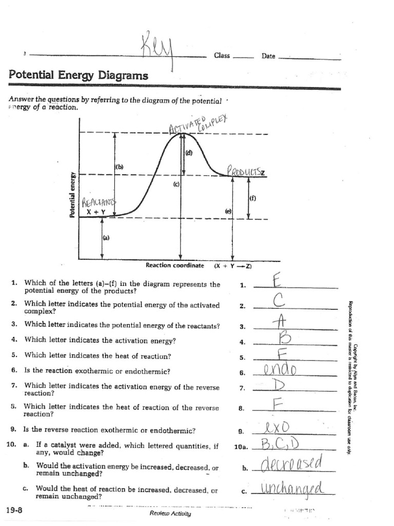 Very Good PE Diagram Exercise | PDF