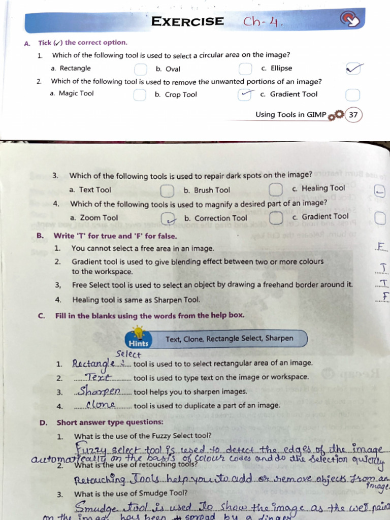Diwali HW Computer 8th | PDF