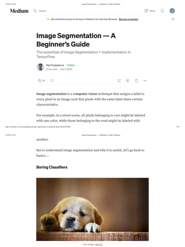 Image Segmentation ÔÇö A BeginnerÔÇÖs Guide - Medium | PDF | Image ...