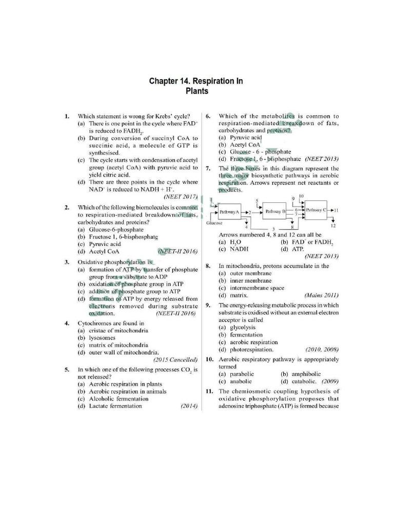 Respiration in Plants | PDF