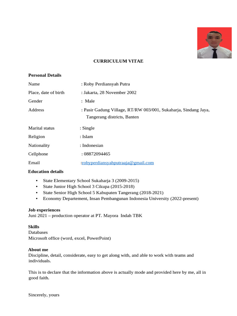 Curriculum Vitae.robi Perdiansyah Putra | PDF