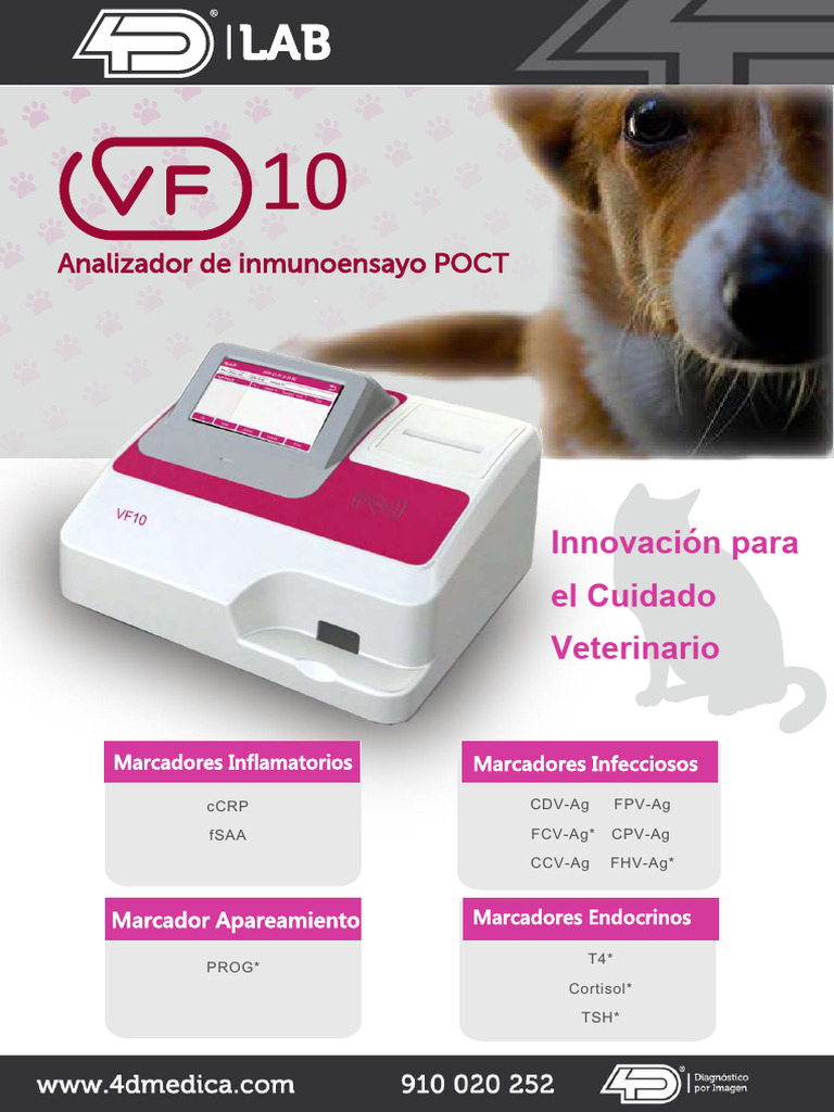 Descriptivo FP10 | PDF