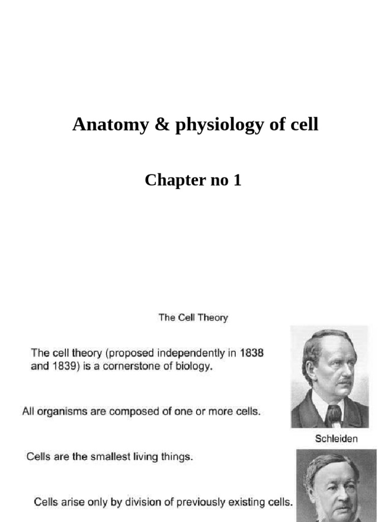 Cell Anatomy & Physiology Overview | PDF