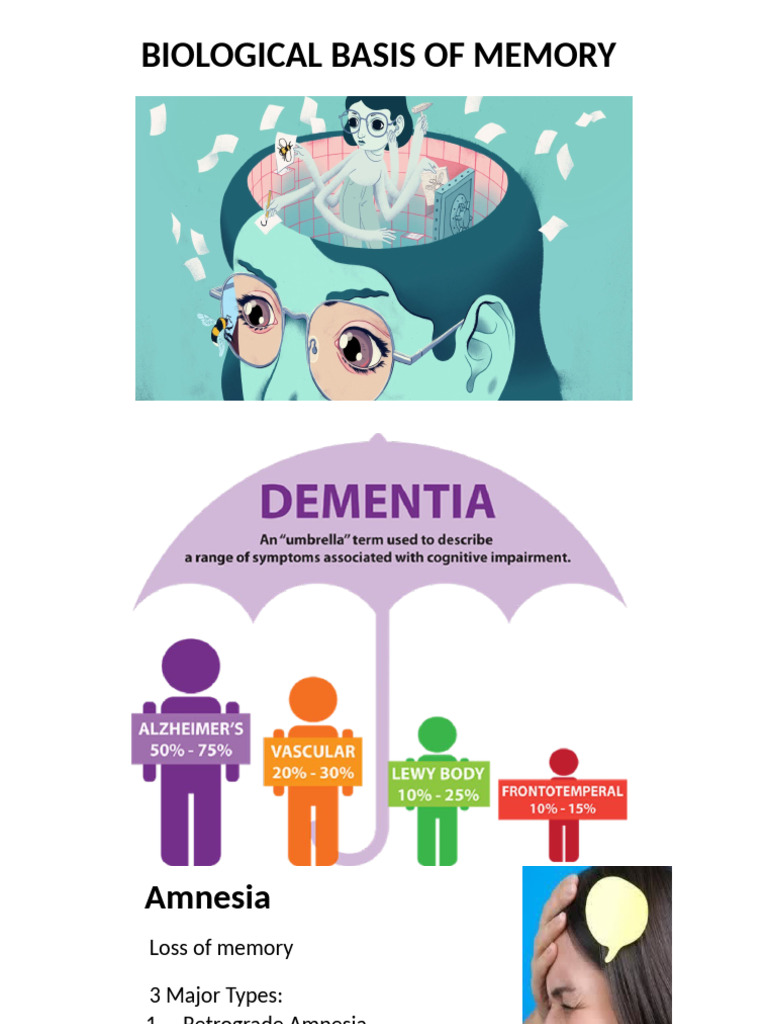 Memory Related Disorders (2) | PDF | Amnesia | Memory