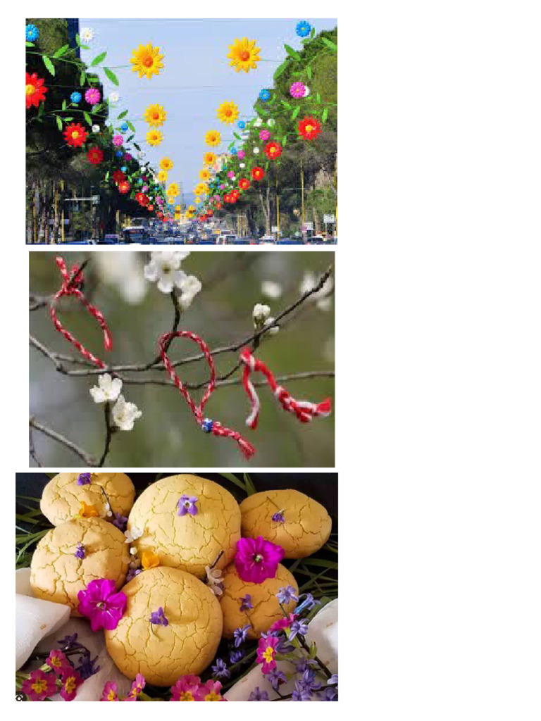 dita e veres foto | PDF