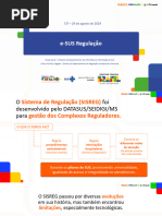 Tutorial Sisreg: Módulo Hospitalar | PDF | Senha | Estado