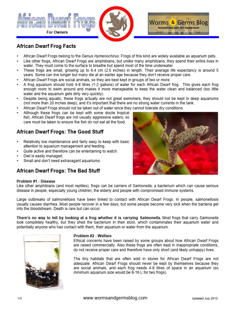 African-Dwarf-Frogs | PDF | Medical Specialties | Microbiology