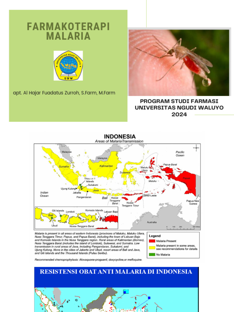 Panduan Farmakoterapi Malaria 2024 | PDF