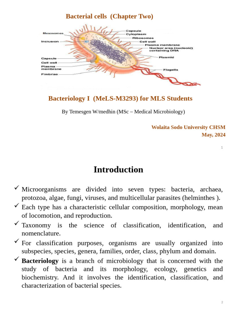 Chapter 2 Bacterial Cells | PDF | Cell Membrane | Bacteria