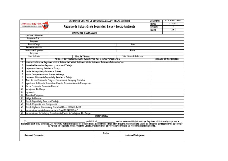 Formato de Induccion Ssoma | PDF | Documento de identidad | Valores