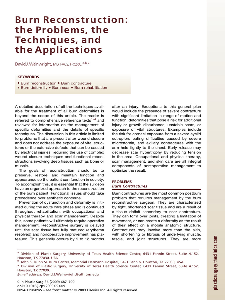 Burn Reconstruction: The Problems, The Techniques, and The Applications ...