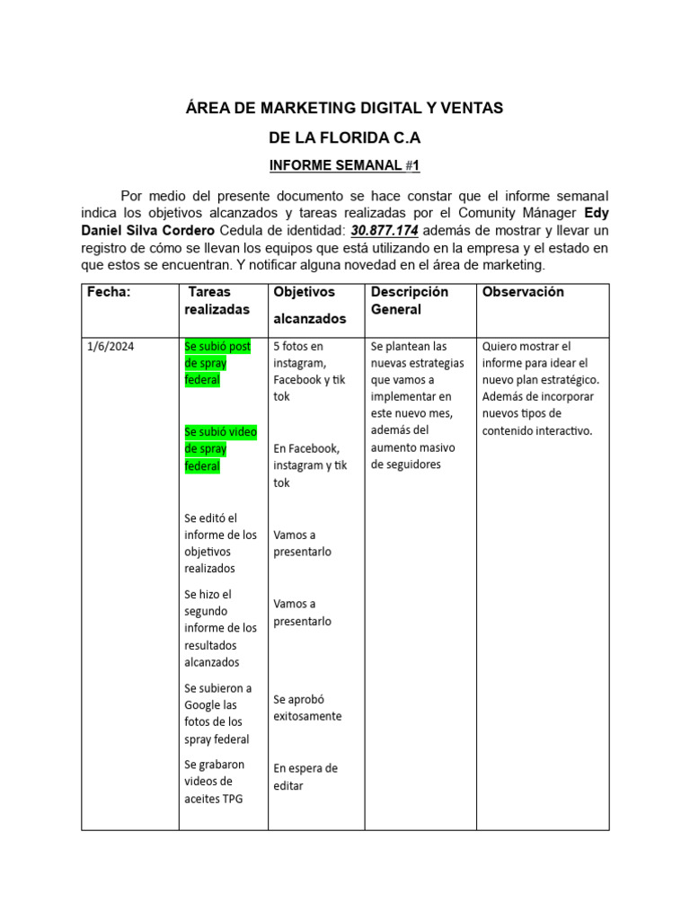 Informe Final - Junio - Tareas Realizadas Edy Silva | PDF | Facebook