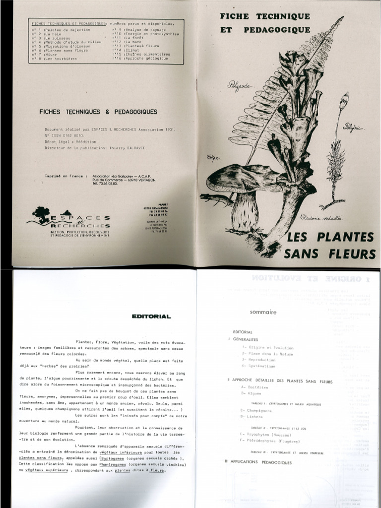 FTEP N°6 Les Plantes Sans Fleurs | PDF