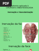 Anatomia da Irrigação e Inervação Facial | PDF | Anatomia humana ...