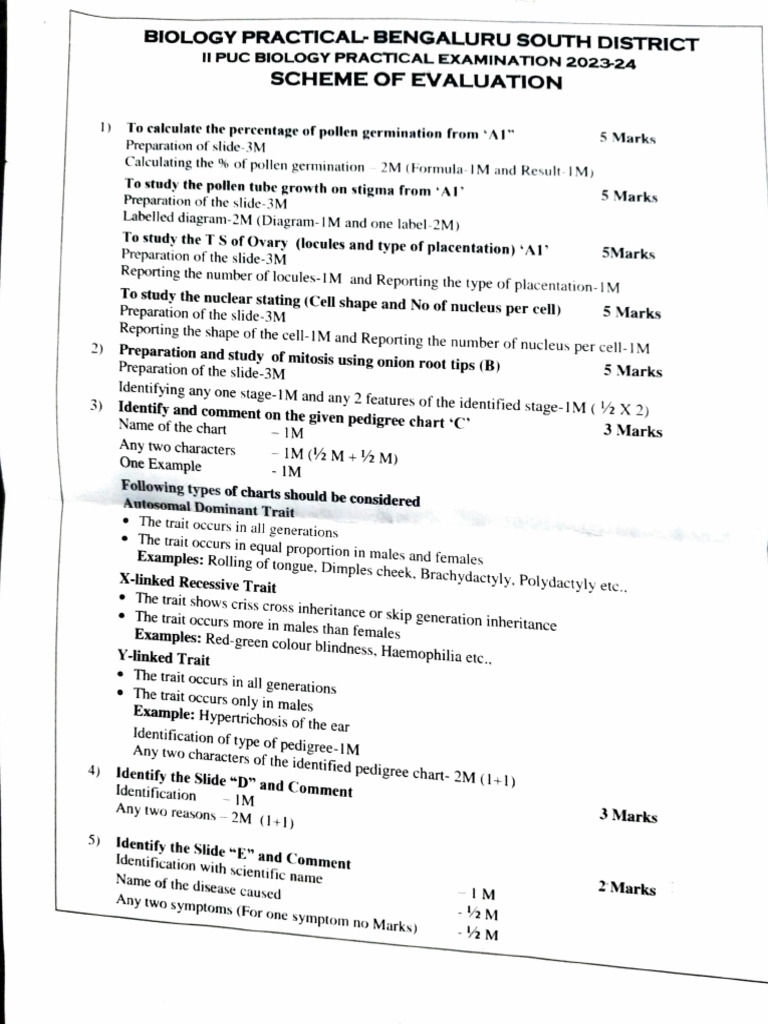 Adobe Scan Sep 08, 2024 | PDF