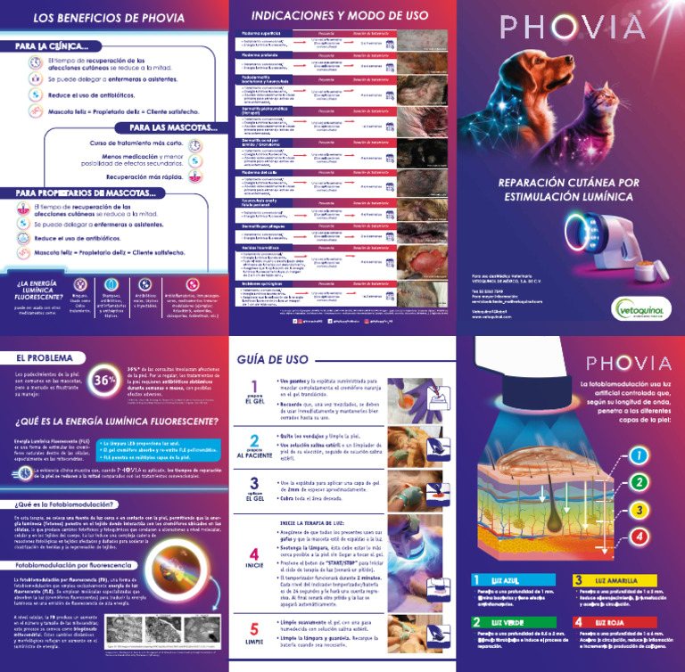 Phovia Triptico Use Guide 2024 | PDF