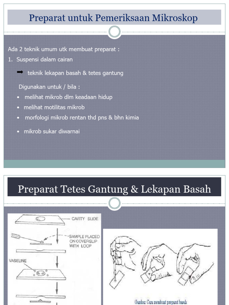 Teknik Preparat Mikroskopis Mikrob | PDF