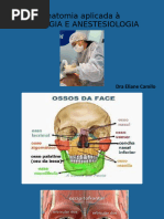 Anatomia Topográfica da Face: Estruturas e Funções | PDF | Cabeça e ...