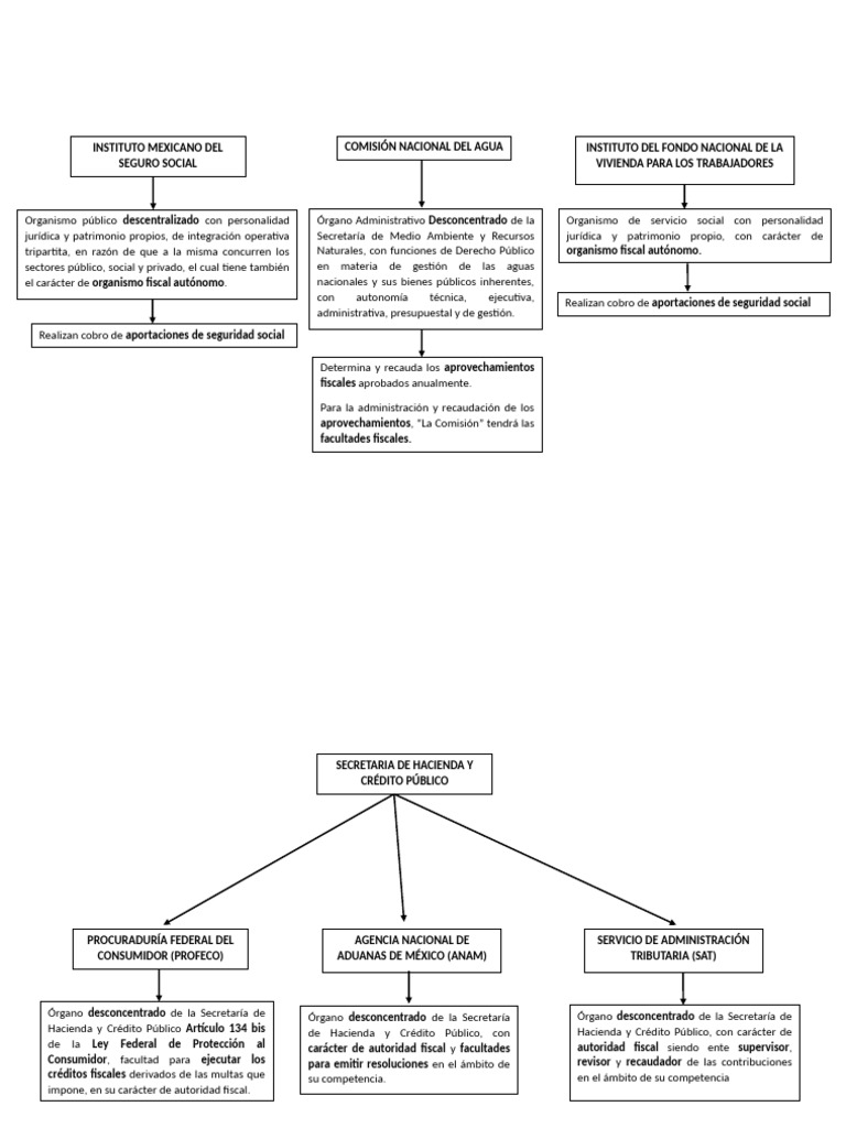 Mapa Conceptual de Autoridades Fiscales | PDF | Gobernancia | Gobierno