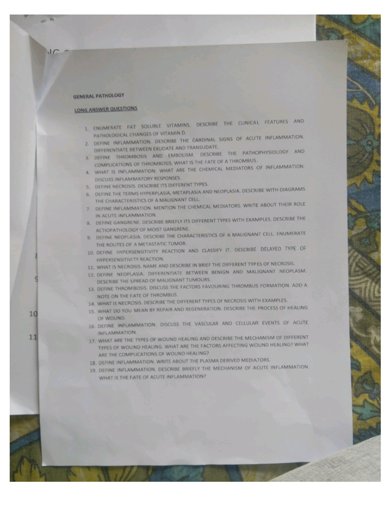 PDFGallery 20241203 233425 | PDF