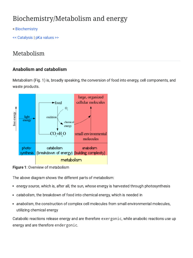 Biochemistry_Metabolism and Energy - Wikibooks, Open Books for an Open ... Biochemistry_Metabolism and Energy - Wikibooks, Open Books for an Open ...
