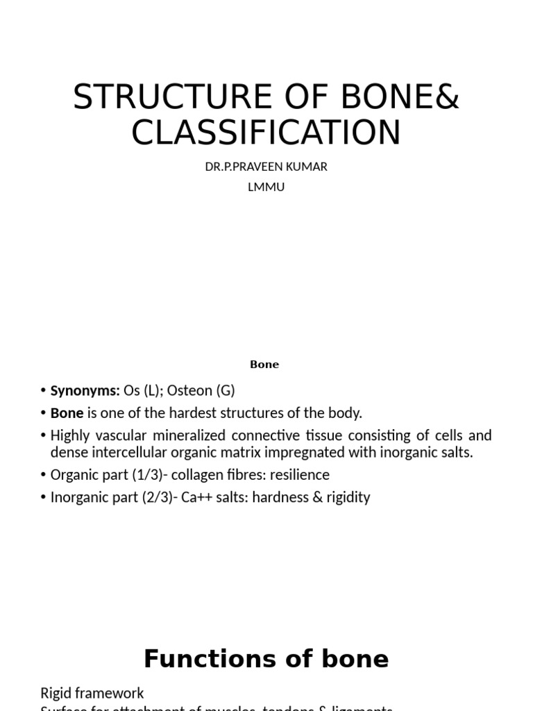 Bone Structure and Classification Guide | PDF