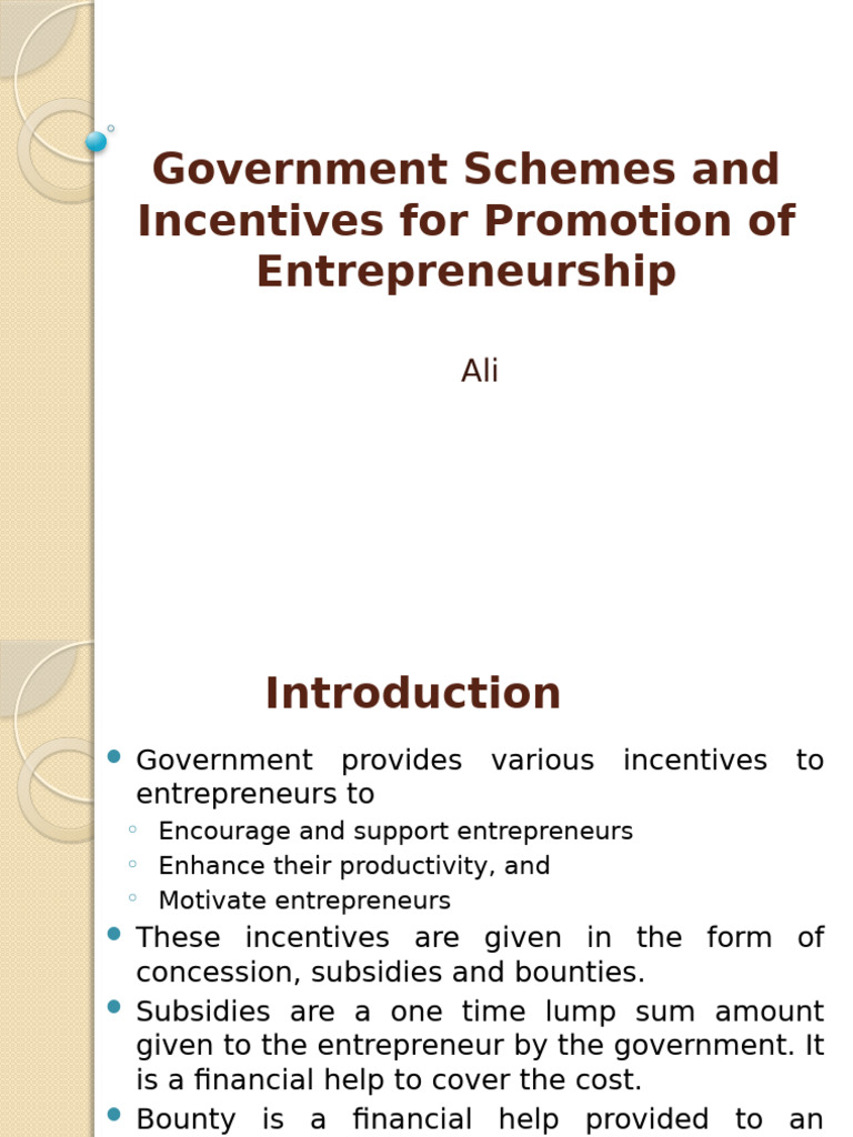 Government Incentives for Entrepreneurs | PDF | Entrepreneurship | Subsidy