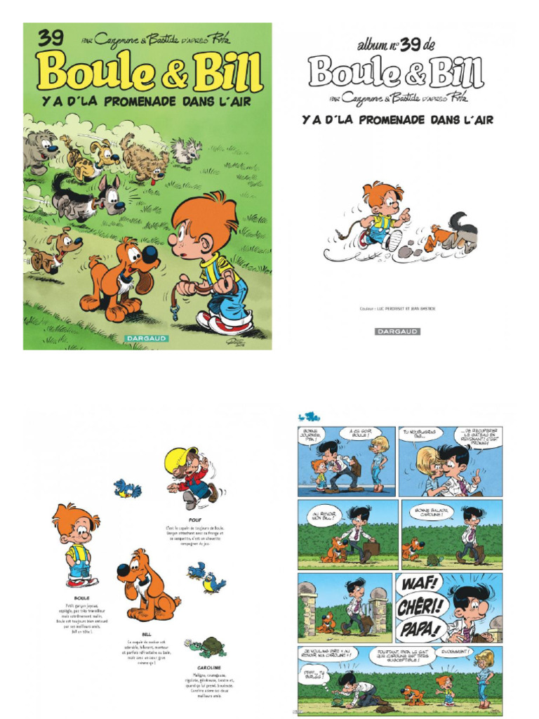Boule Et Bill Extraits2 | PDF
