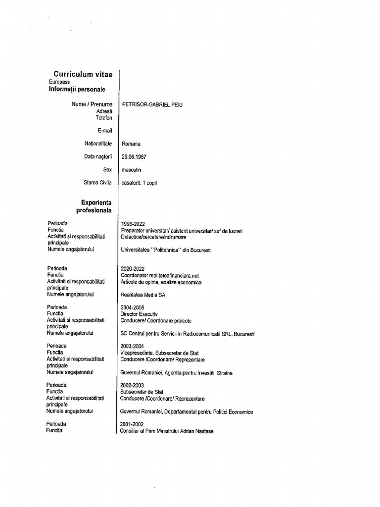 CV Peiu Petrisor-Gabriel - Site | PDF