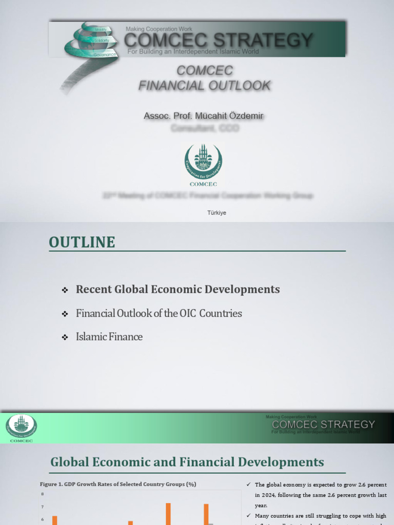 1 Financial Outlook 2024 | PDF | Islamic Banking And Finance | Arab World