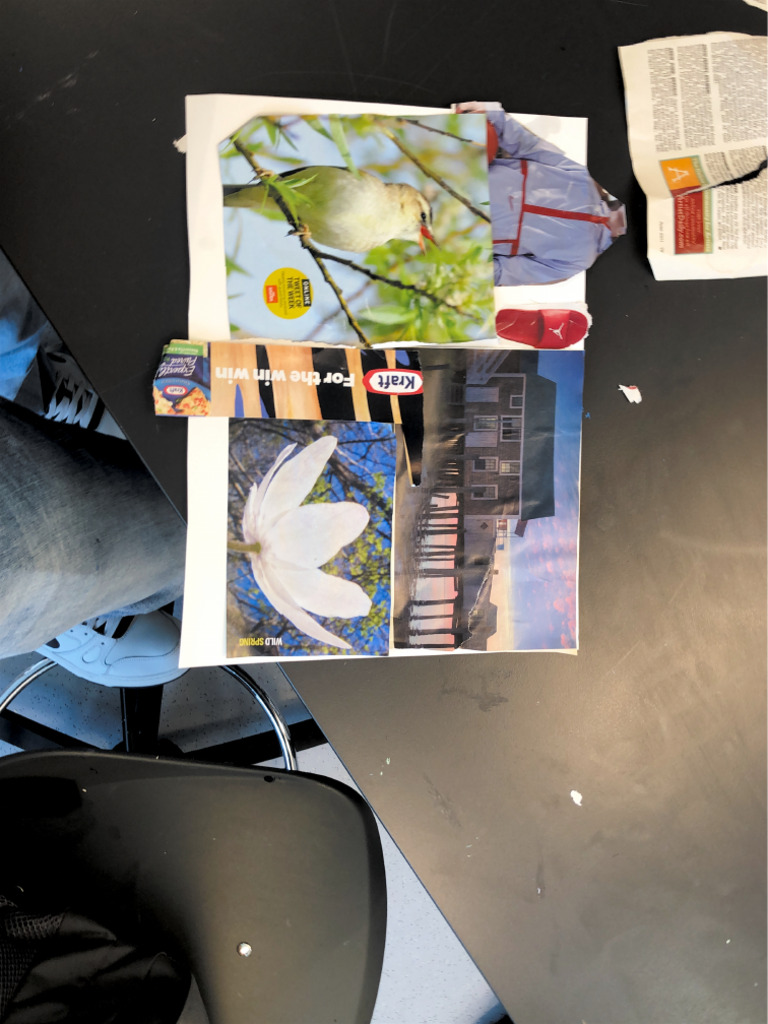 Collage (A Piece of Art Made by Sticking Material Together) - (Instead ...