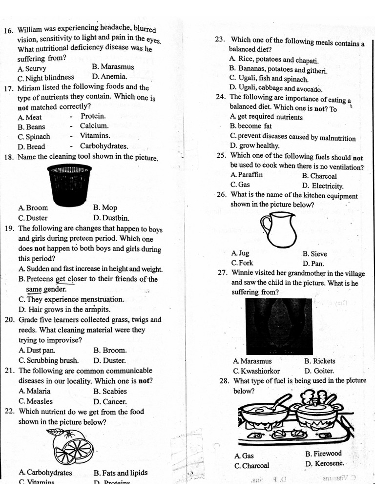 Grade 5 Nutrition | PDF