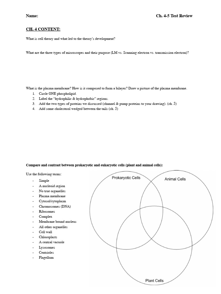 Ch. 4-5 Test Review | PDF | Cell Membrane | Enzyme