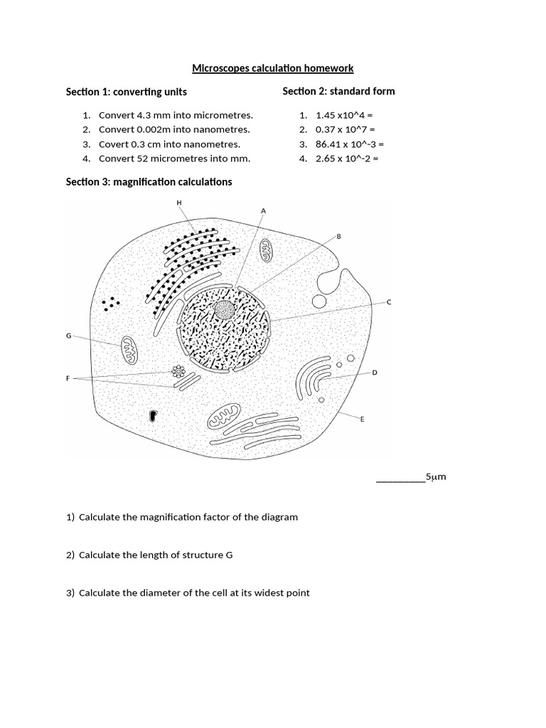 Microscopes Calculation Homework | PDF