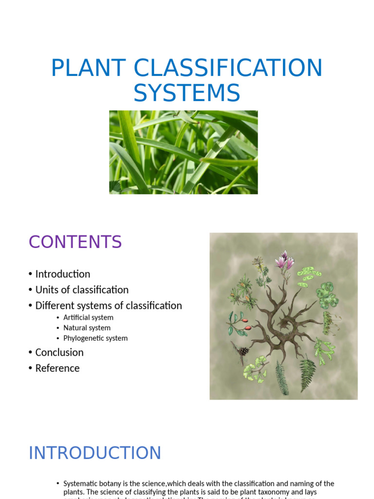 Plant Classification Systems | PDF | Taxonomy (Biology) | Plant Taxonomy
