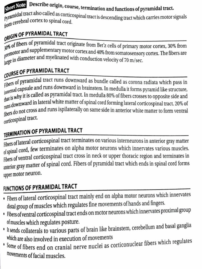 Pyramidal Tract: Origin, Course, and Function | PDF | Motor Neuron ...