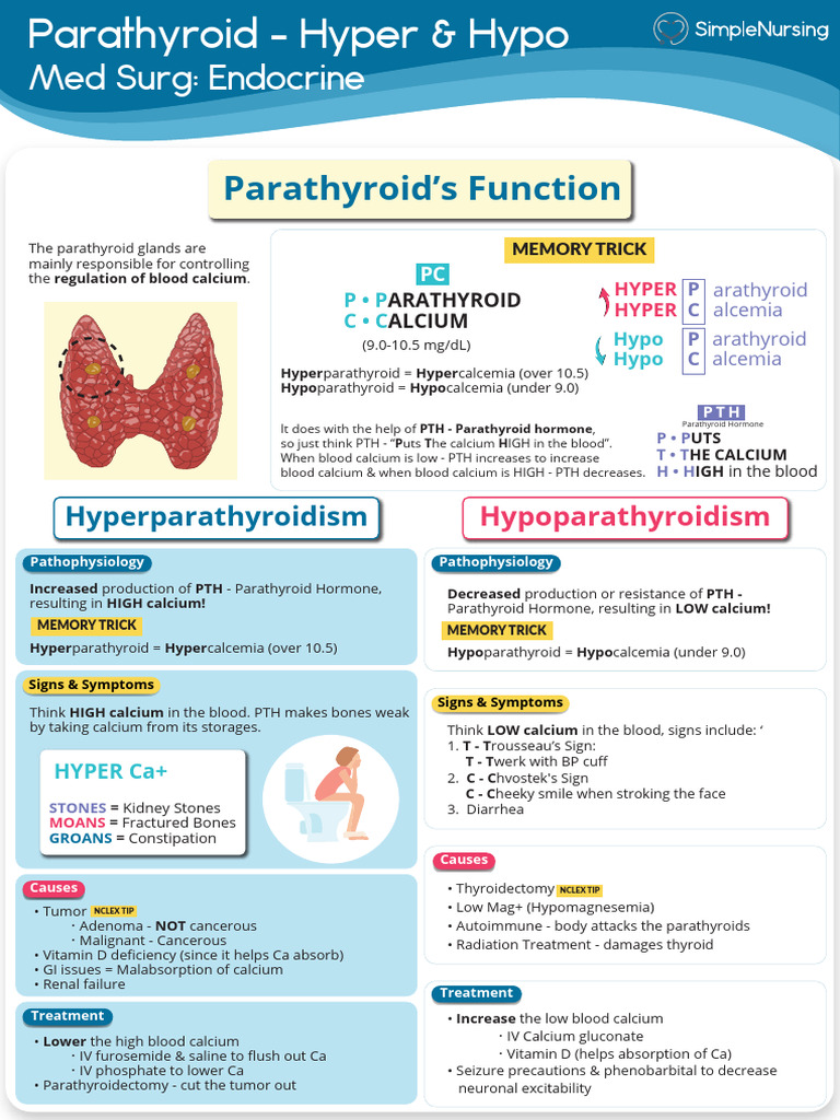 Parathyroid - Hyper - Hypo | PDF | Parathyroid Gland | Organ (Anatomy)